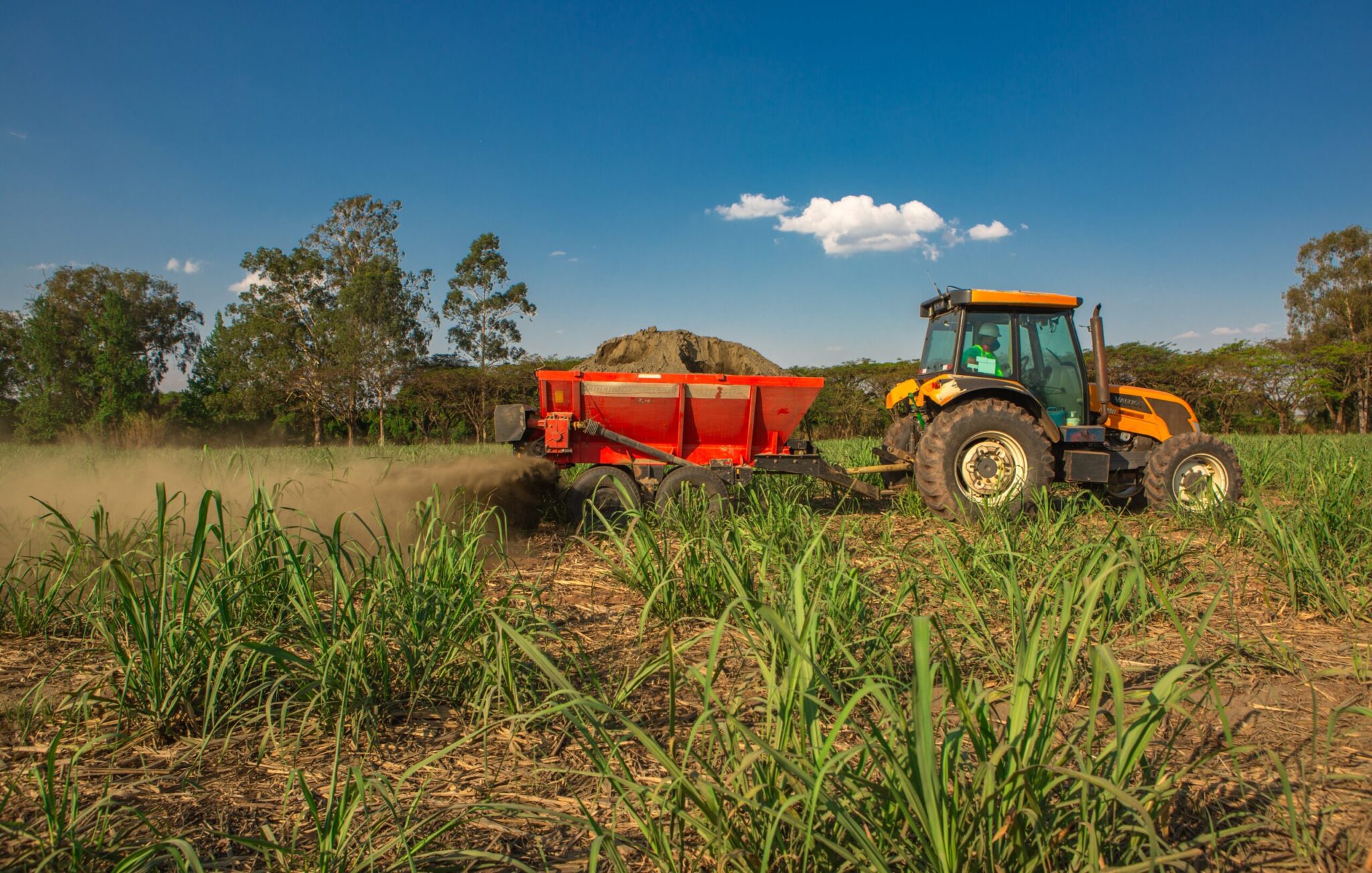 The journey of InPlanet: How it all started - InPlanet