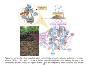 Enhanced Rock Weathering Field Experiments - InPlanet